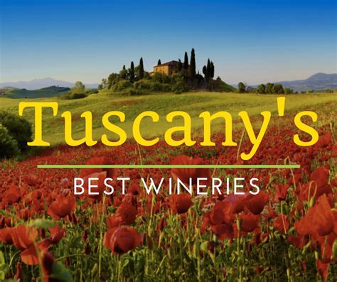 The 7 Best Wineries In Tuscany Guidester