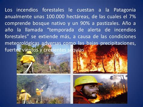 La Fecha Se reconoce el 4 de Mayo de cada año como Día Internacional