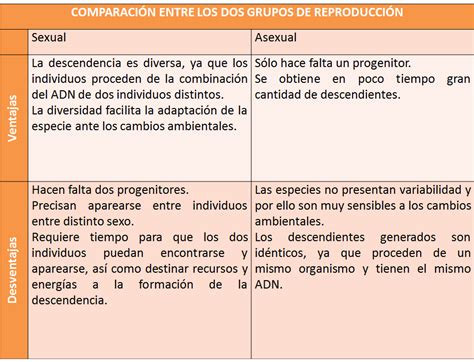 Cuadro Comparativo De Las Semejanzas Y Diferencias Entre El Texto