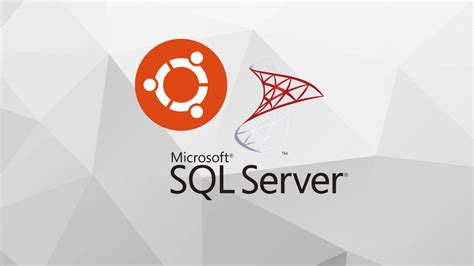 How To Reset Mssql Server Sa Password On Ubuntu Via The Command Line And Sql Server Management