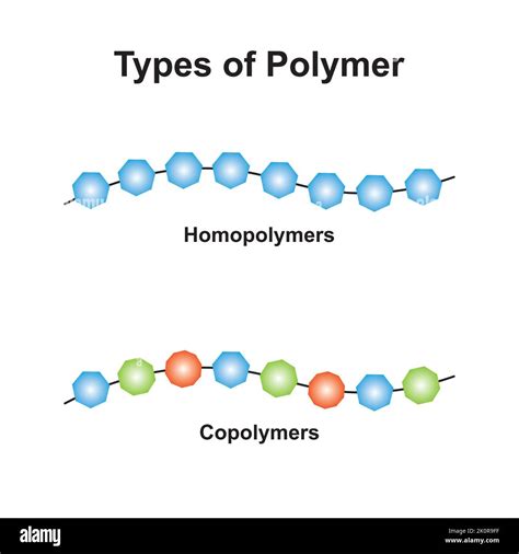 Diseño científico de tipos de estructuras de polímero Homopolímeros y