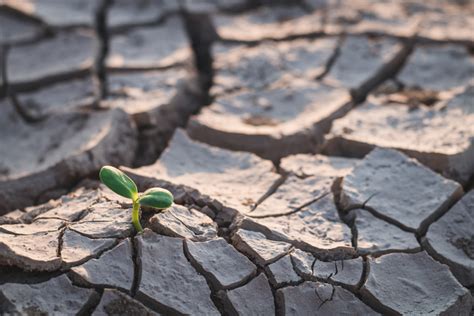 Consecuencias del efecto invernadero así será el mundo en 2050
