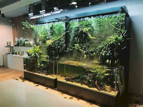 Beautiful Nature Paludarium Indoor Aquarium Design Home Aquarium