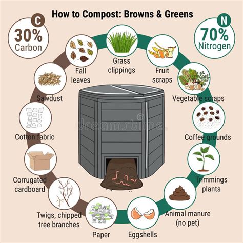 Infographie Du Bac De Compostage De Jardin Avec Des Déchets Quoi
