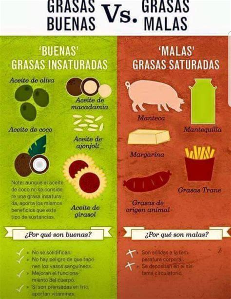 Fracaso dramático Multiplicación que son las grasas de origen animal