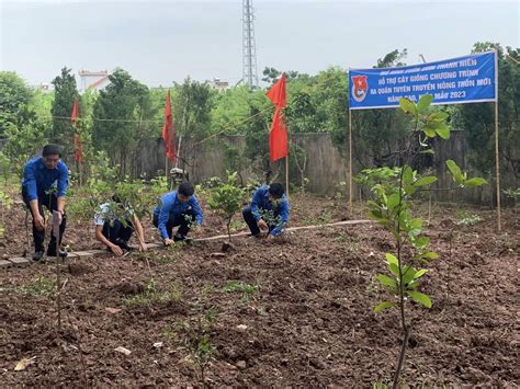 Nam Định Ra quân tuyên truyền về xây dựng nông thôn mới nâng cao
