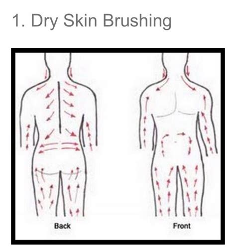 Lymphatic Drainage Dry Brushing Chart