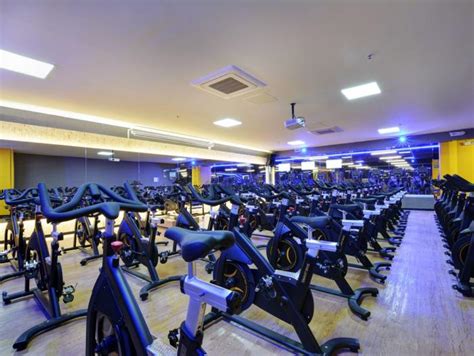 Descubrir 80 Imagen Cadenas De Gimnasios Colombia Viaterra Mx