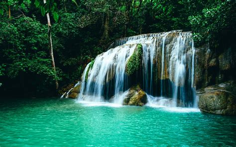 Screensaver Waterfalls Tropical Rainforest