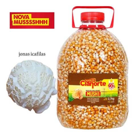 Pipoca Mush Arredondam Milho Gourmet Tipo Mushroom Kg