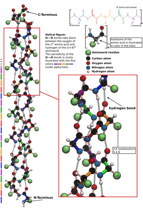 Secondary Structure Alpha Helix Parallel Antiparallel Beta Sheet Pdf
