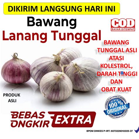 Jual Bawang Putih Tunggal Murah 1 Kg Bawang Putih Tunggal Bawang Lanang