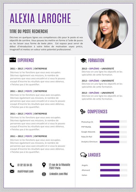 12exemple De Cv Professionnel Modele Cv