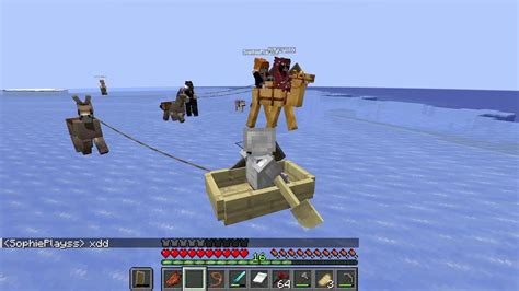 Survival Emotionaler Umzug Auf Reittieren Und Ritttieren Koffer
