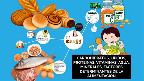 Función de los carbohidratos lípidos proteínas vitaminas y minerales
