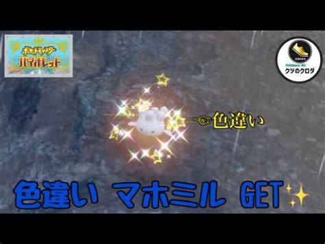 Svshiny Milcery Get Milcery Alcremie Evolve Youtube