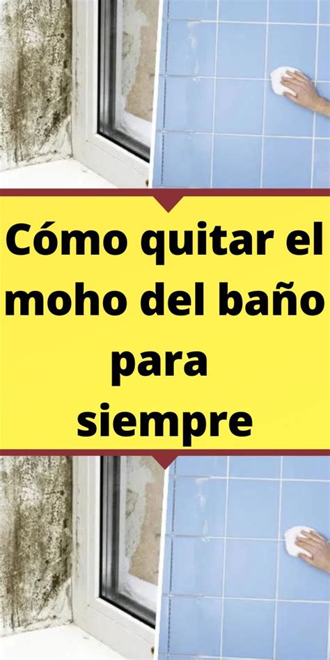 Cómo quitar el moho del baño para siempre Como quitar Como quitar