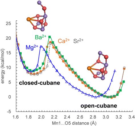 Substitution Of Ca 2 And Changes In The H Bond Network Near The Oxygen