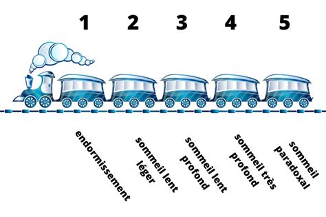 Train Du Sommeil Comprendre Les Cycles Du Sommeil Pour Bien Dormir