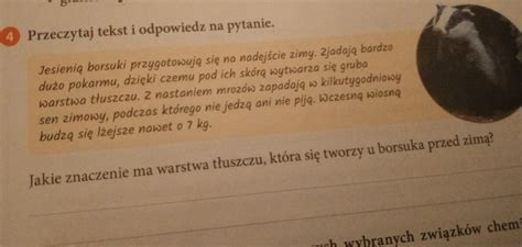 Przeczytaj Tekst I Odpowiedz Na Pytanie Brainly Pl