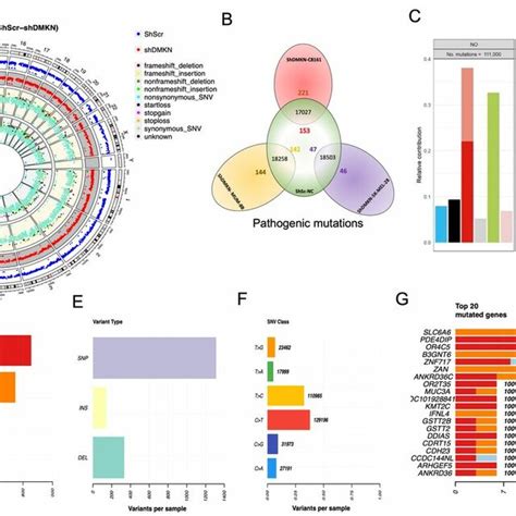 Summary Of Whole Genome And Targeted Exome Sequencing Results For