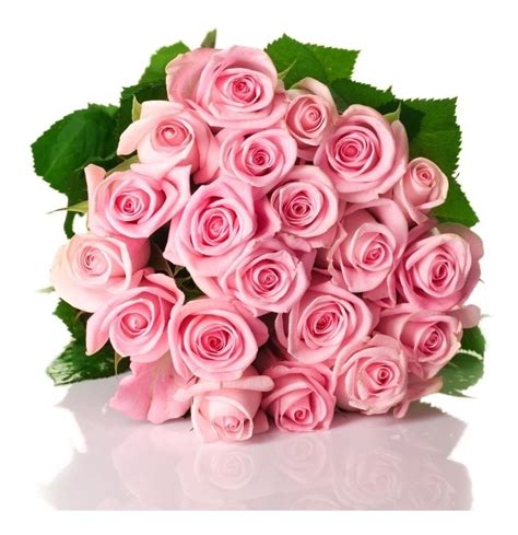 Sementes De Rosas Na Cor Rosa R Em Mercado Livre
