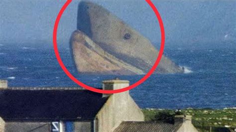 Top 10 Scary Mariana Trench Creatures That Are Stronger Than The
