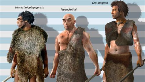 Homo Erectus Clothing