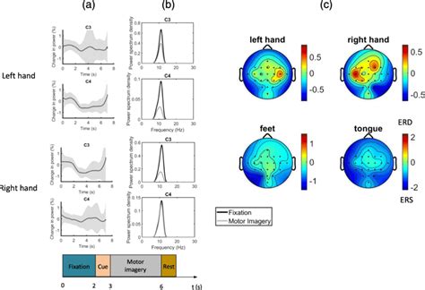 examples of eeg features in motor decoding eeg features from one of download scientific