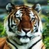 Ngx Ui Tour Core Npm