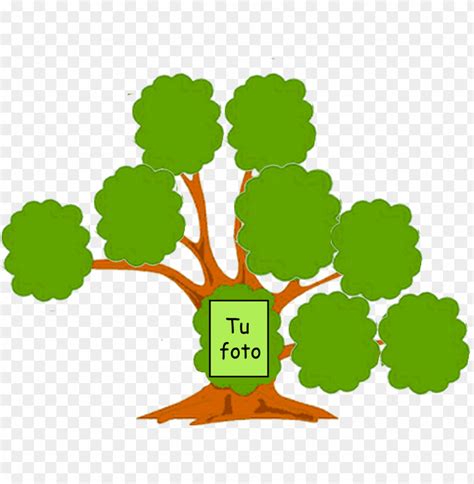 Arbol Genealog De Tu Familia PNG Transparent With Clear Background ID