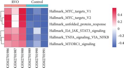 Gene Set Enrichment Analysis Gsea And Gene Set Variation Analysis