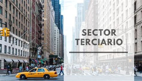 SECTOR TERCIARIO Historia actividades y características