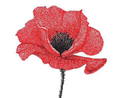 Fleur De Pavot Print Art Art Mural Fleurs Rouges Imprimer Coquelicots
