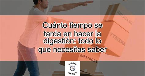 Cuánto tiempo se tarda en hacer la digestión todo lo que necesitas