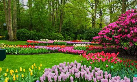 Hình ảnh mùa xuân thiên nhiên đẹp nhất
