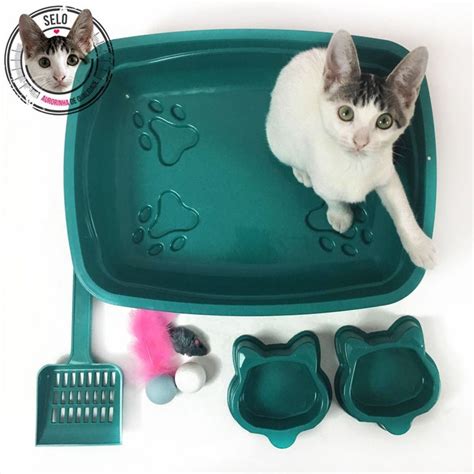 Um kit ideal para quem está adotando um gatinho e precisa dos itens