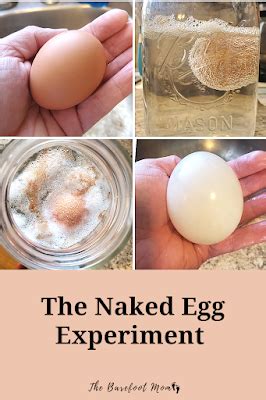 The Naked Egg Experiment