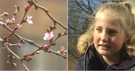 Halland B St I Landet Svt Nyheter