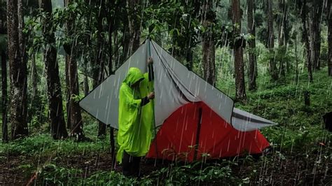 SOLO CAMPING HEAVY RAIN THUNDERSTORM RELAXING CAMPING IN THE FOREST