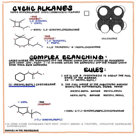 Doodles In The Membrane Organic Chemistry Educational Resources To