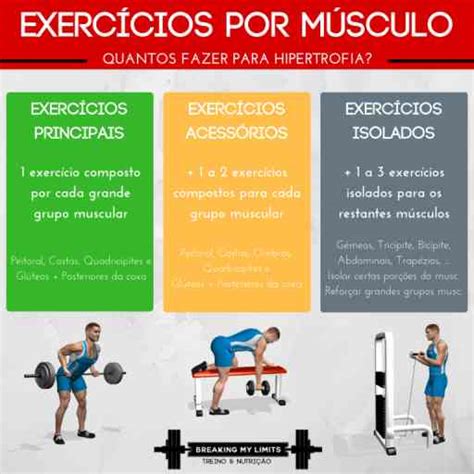Descubra o Número Ideal de Exercícios por Grupo Muscular e por Treino