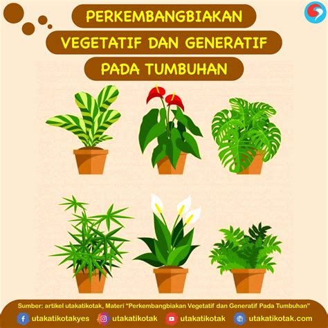 Mengenal Perbedaan Reproduksi Vegetatif Dan Generatif Mining Bitcoin