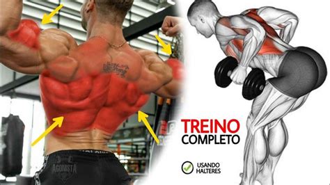 7 EXERCÍCIOS Treine Costas e Bíceps Completo halteres da para