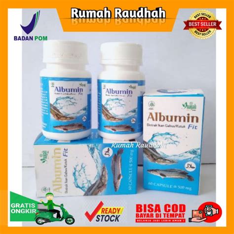 Jual ALBUMIN FIT KAPSUL EKSTRAK IKAN GABUS ORIGINAL 60 KAPSUL
