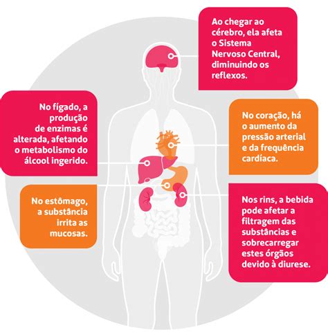 Porque O álcool Vicia