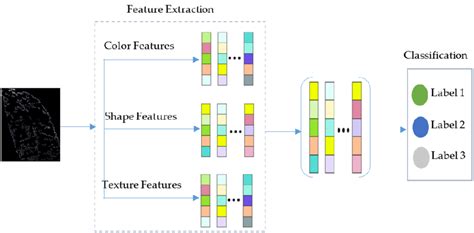 structure of feature extraction the comprehensive explanation of each download scientific