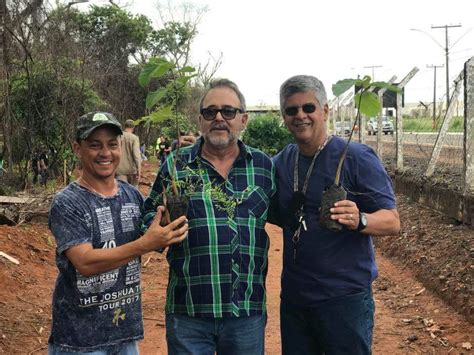Plantio de duas mil mudas de árvores nativas no Parque Ecológico de