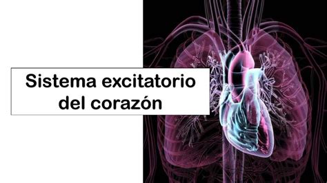 SISTEMA ELECTRICO DEL CORAZÓN Val Chavez uDocz