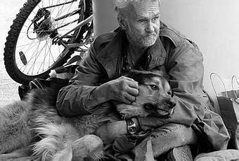 Le Vieil Homme Et Son Chien Paperblog